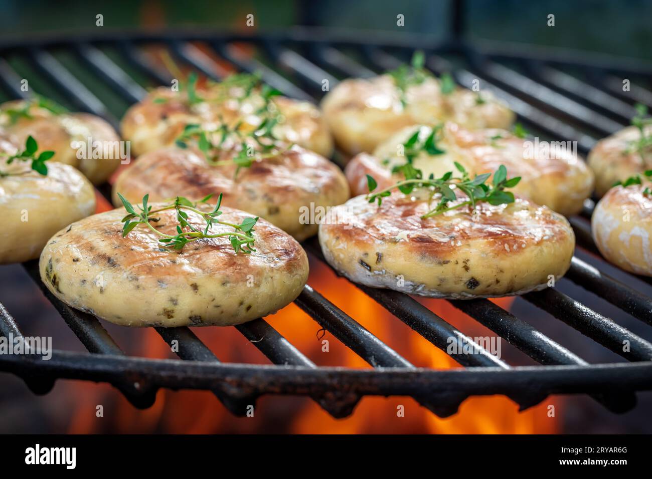 Crispy grilled halloumi cheese with spices and herbs. Grilled cheese on ...