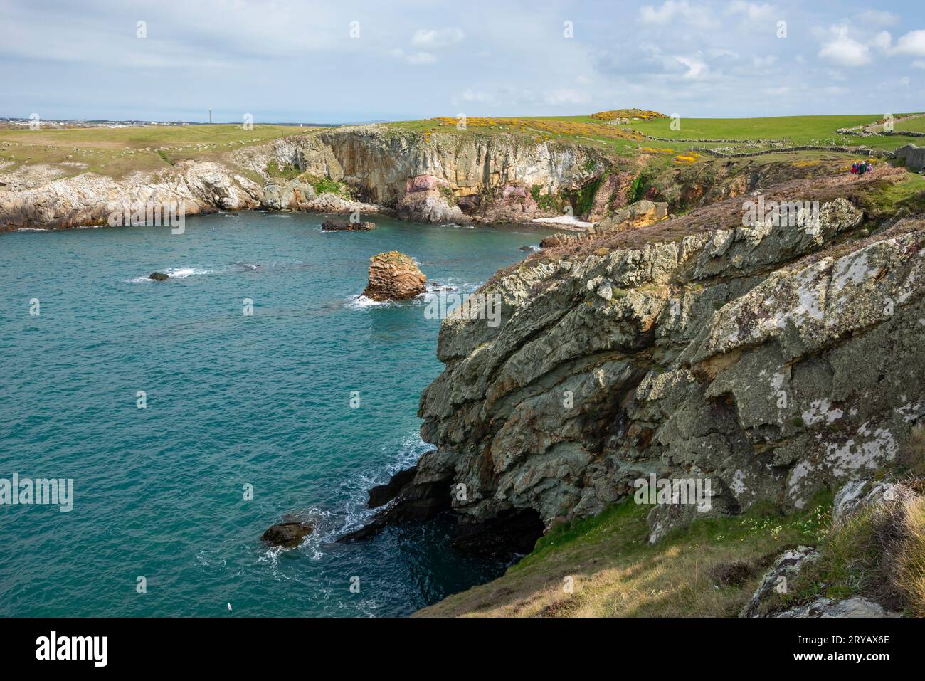 Colourful cliffs of interesting geology at Porth Saint, Rhoscolyn ...