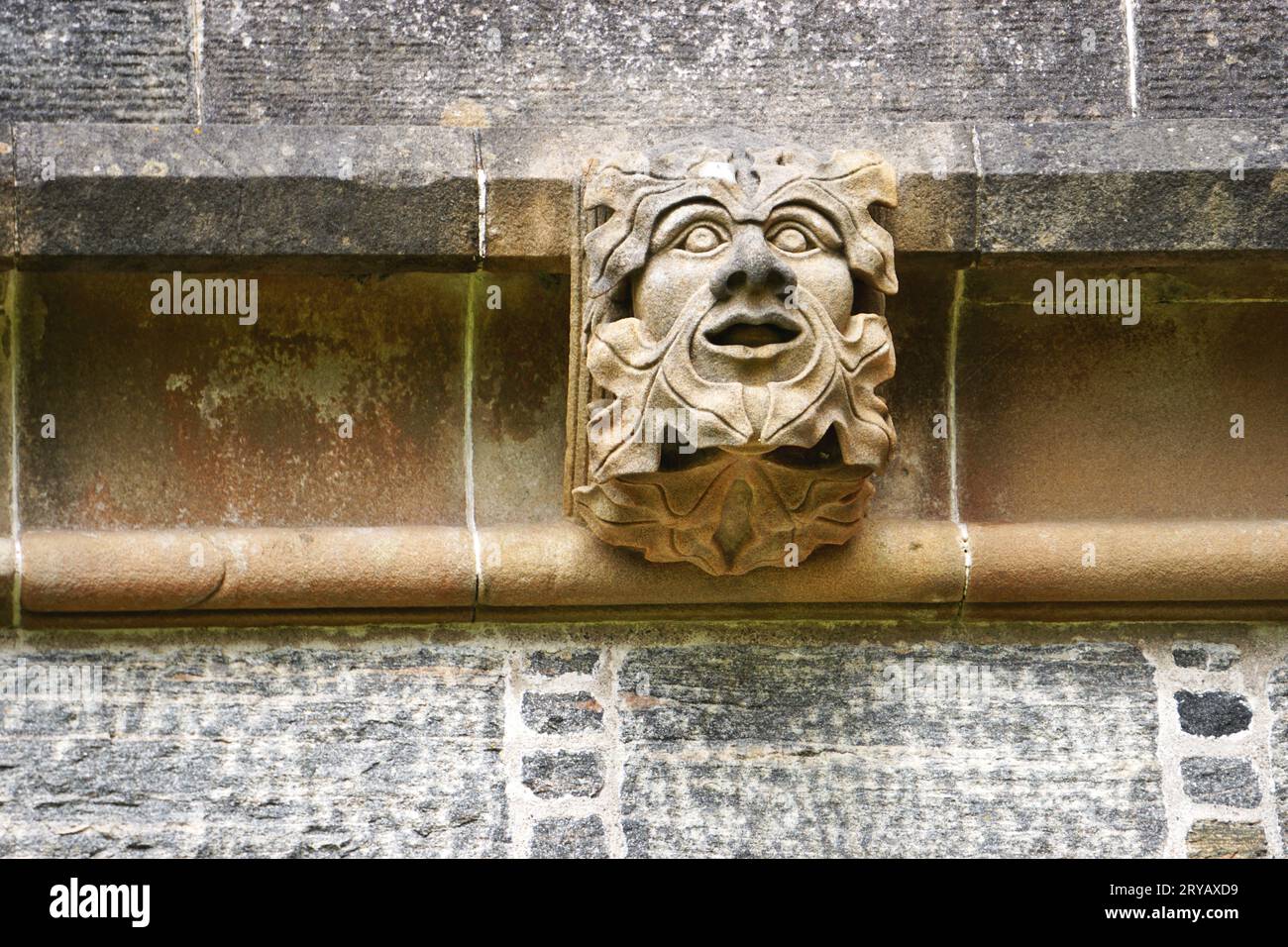 A carved stone Green Man gargoyle looks out from the roofline of Lews ...