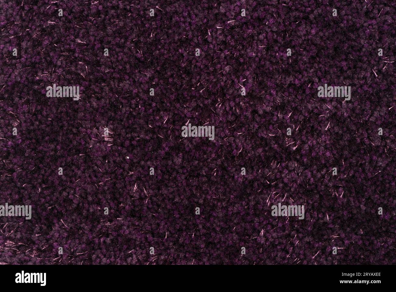 Purple carpet hi-res stock photography and images - Alamy