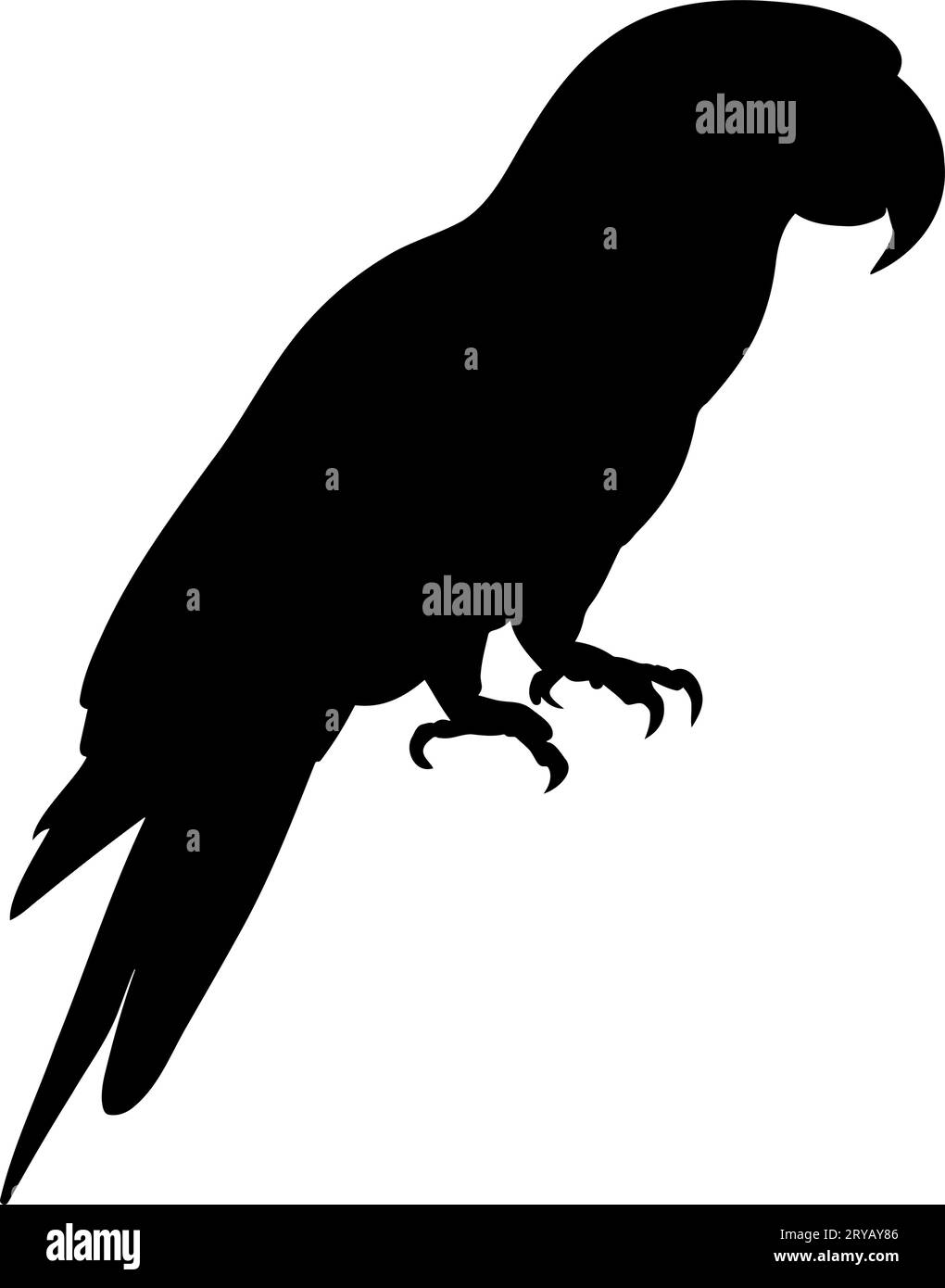 Parrot standing silhouette. Vector illustration Stock Vector Image ...