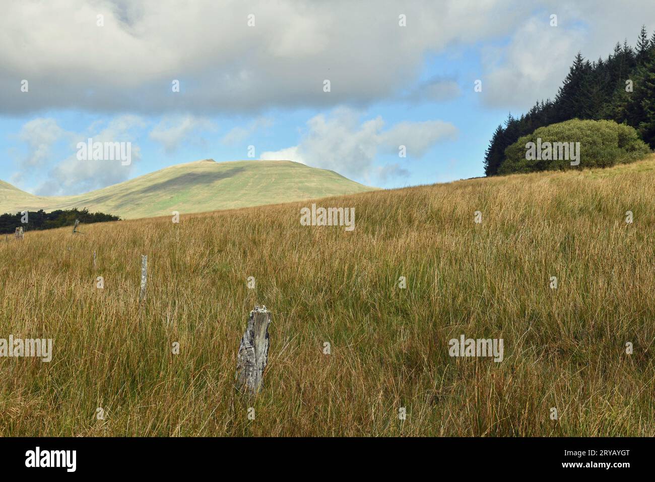View of Cribyn, to the right of Pen y Fan, in the Central Brecon ...