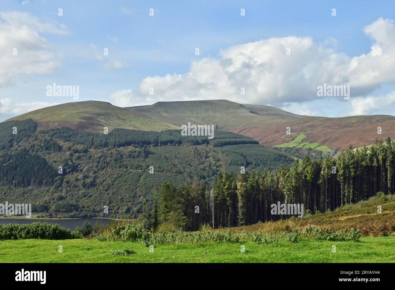Waun hi-res stock photography and images - Alamy