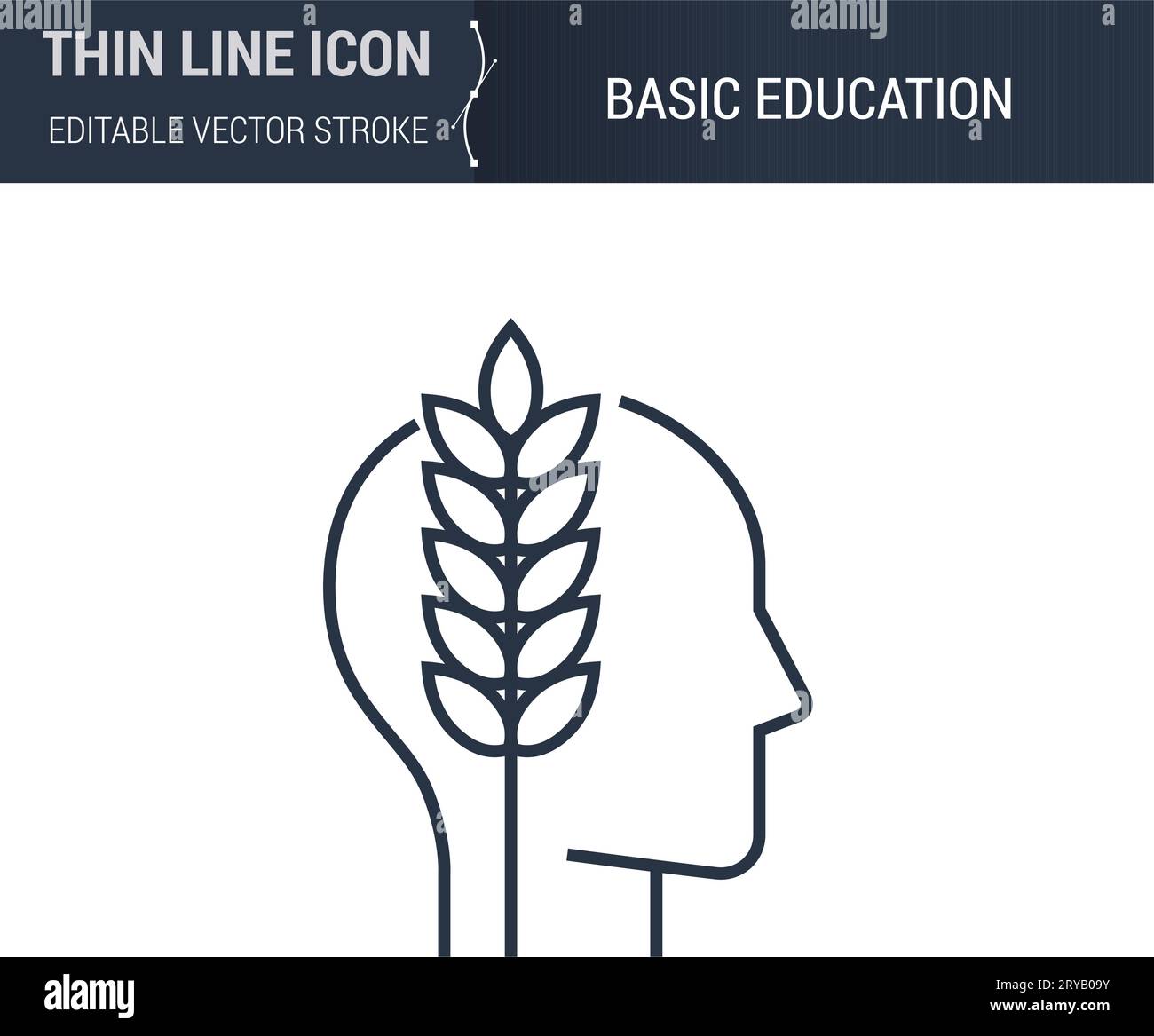 Symbol of Basic Education Thin line Icon of Brain Process. Stroke ...