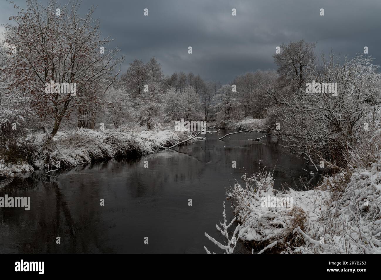 River covered ice autumn trees hi-res stock photography and images - Alamy