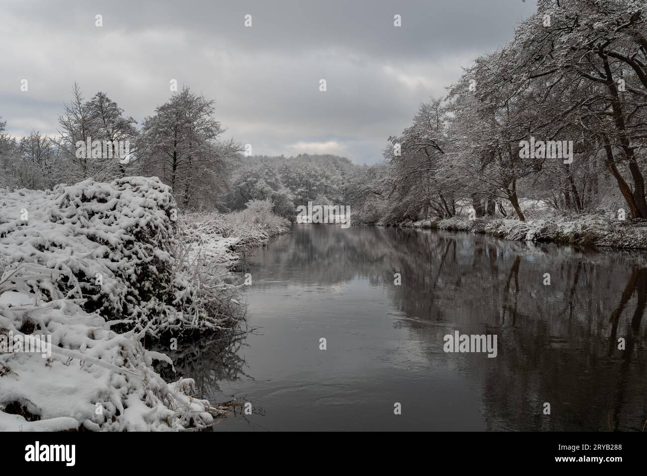 Early snowfall in the boreal forest hi-res stock photography and images ...