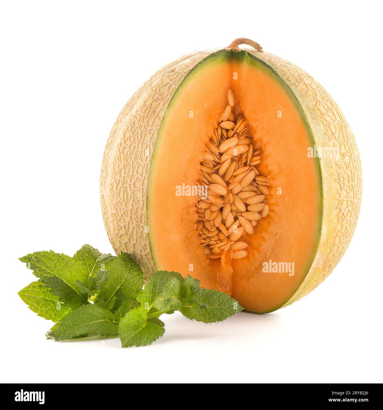 Melon texture Cut Out Stock Images & Pictures - Alamy