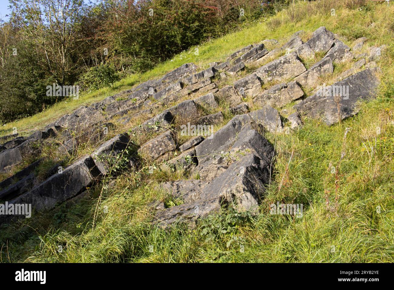 Beds of Limestone deposited 340 million years ago in shallow tropical ...