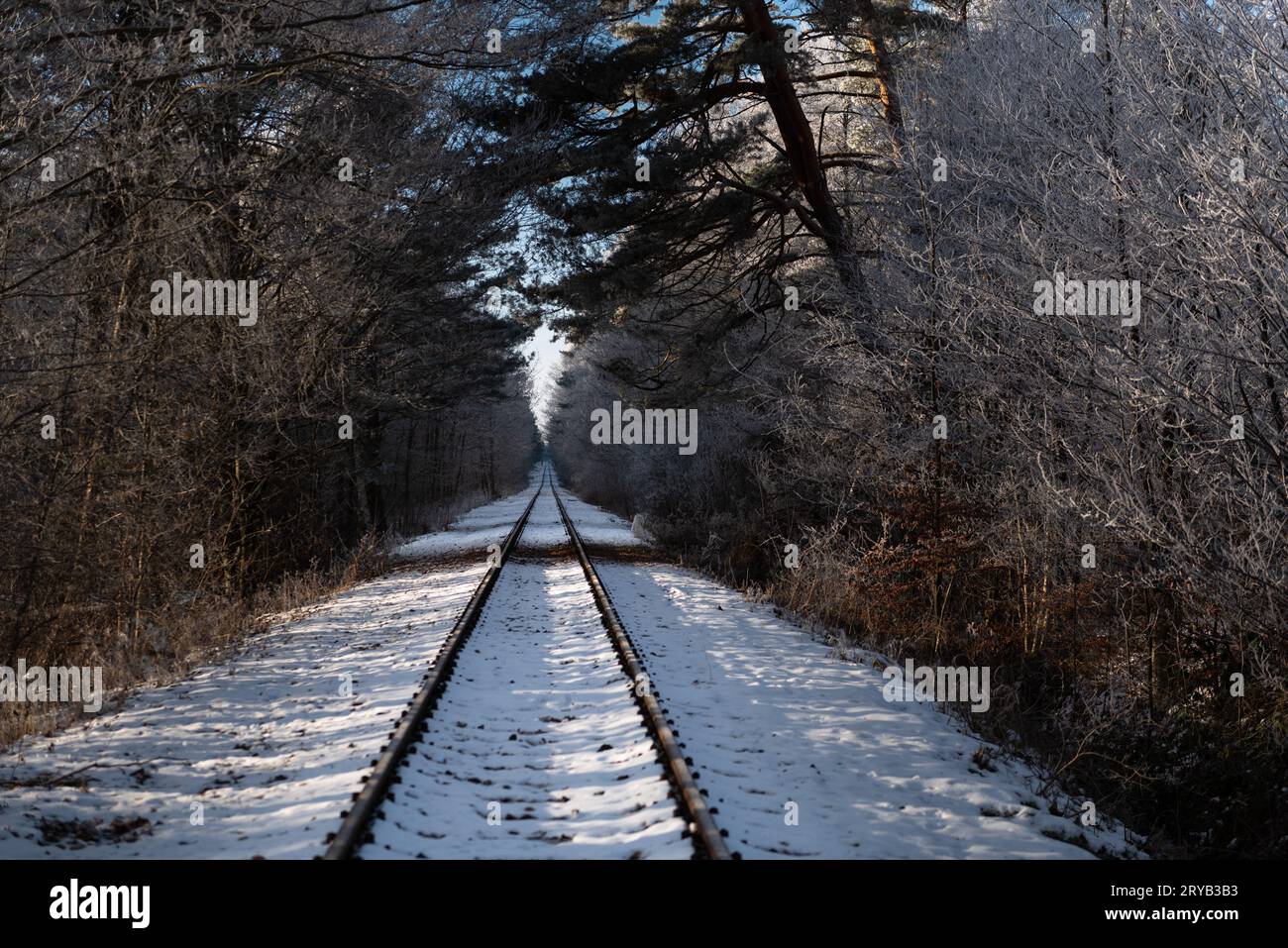 Winter rail travel railway line hi-res stock photography and images - Alamy