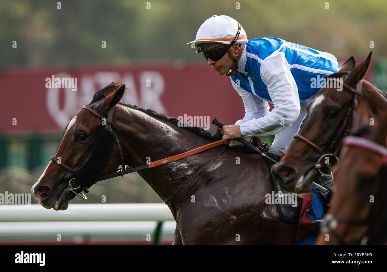 30th September 2023, Paris, France. Double Major and jockey Maxime ...