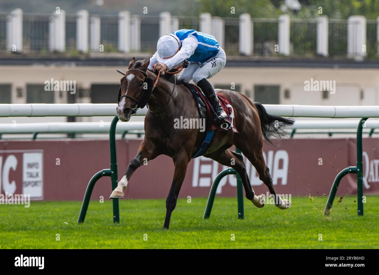 Major win hi-res stock photography and images - Alamy