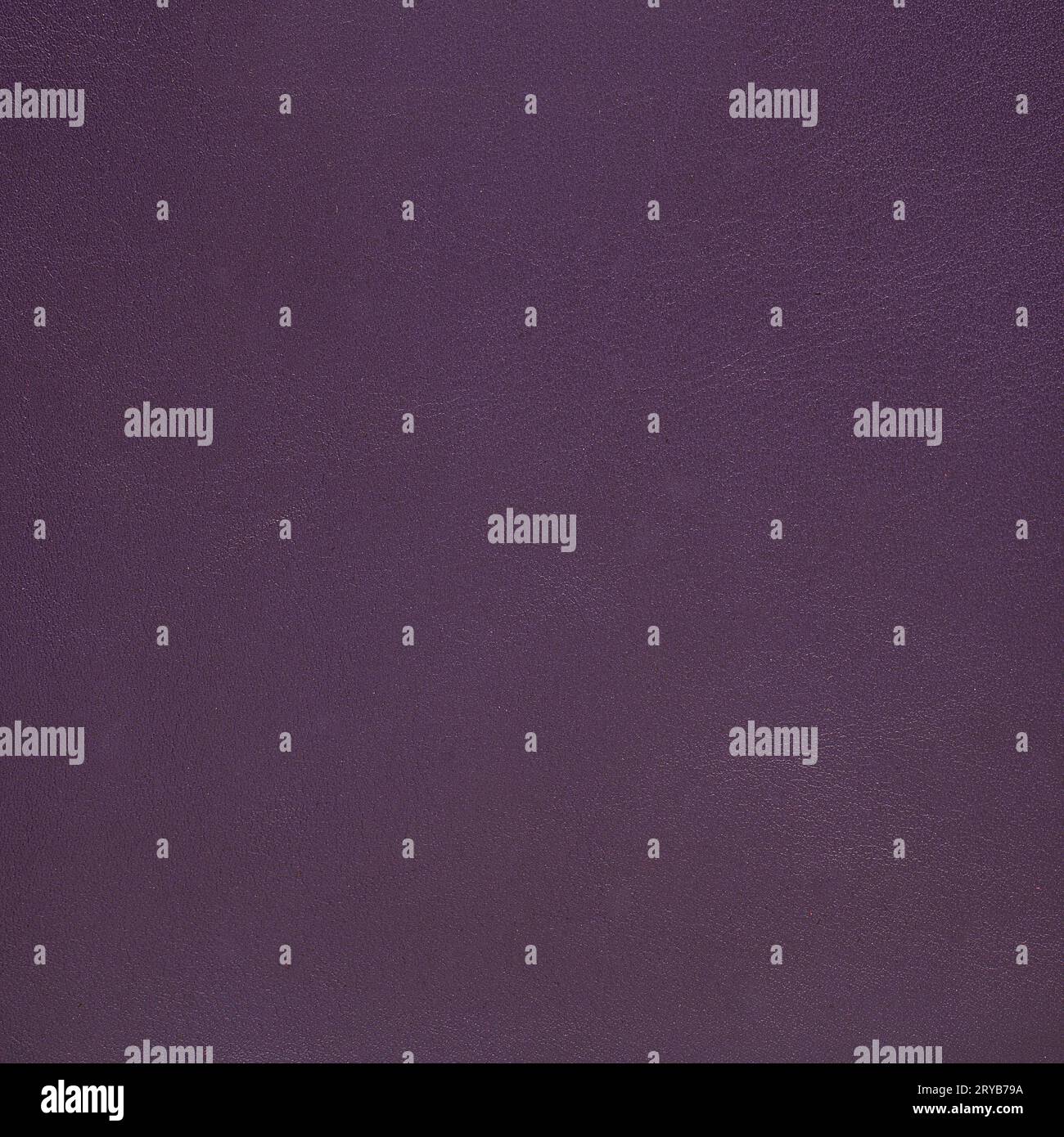 Violet fashion hi-res stock photography and images - Alamy