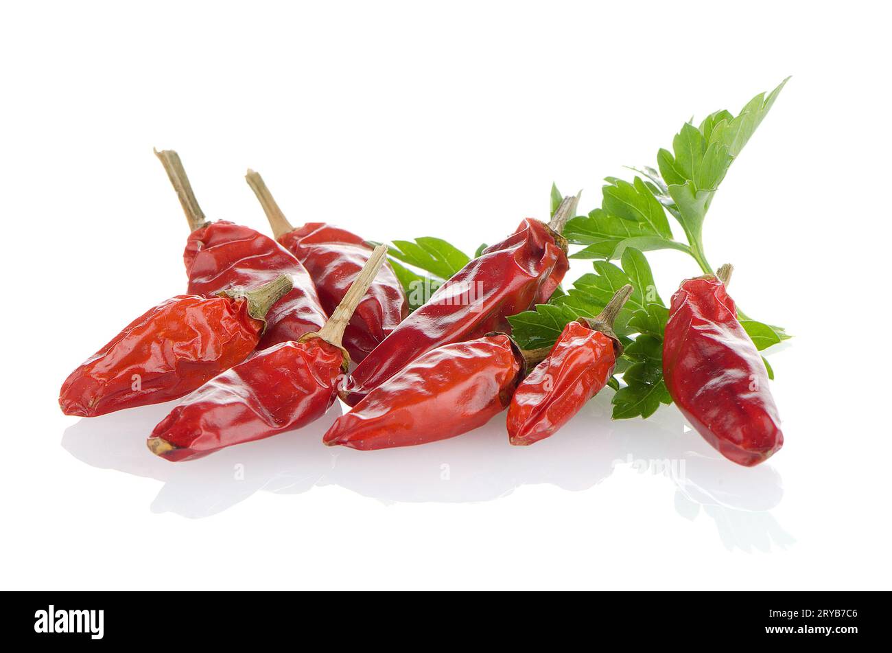 Chilli leaves hi-res stock photography and images - Alamy