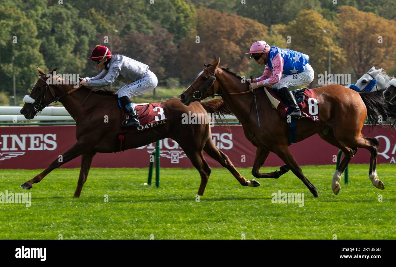 Season in qatar hi-res stock photography and images - Alamy