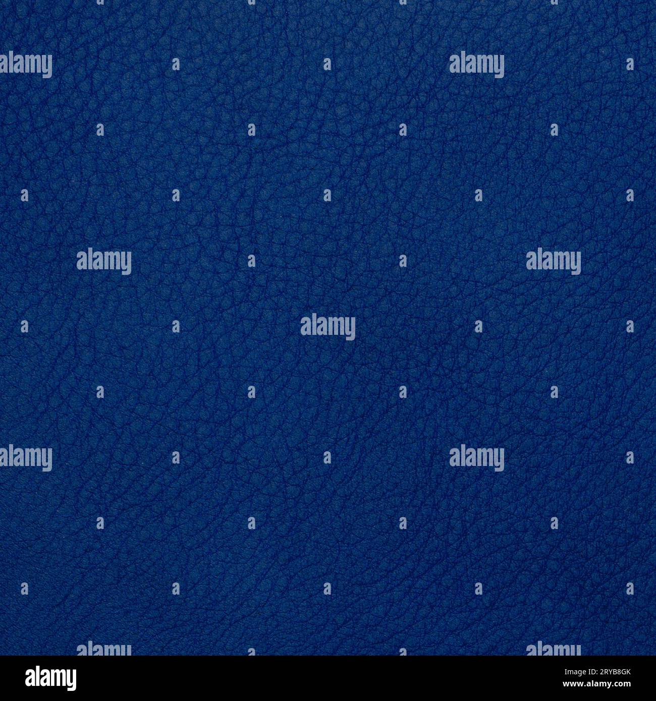 Blue gray backdrop hi-res stock photography and images - Alamy