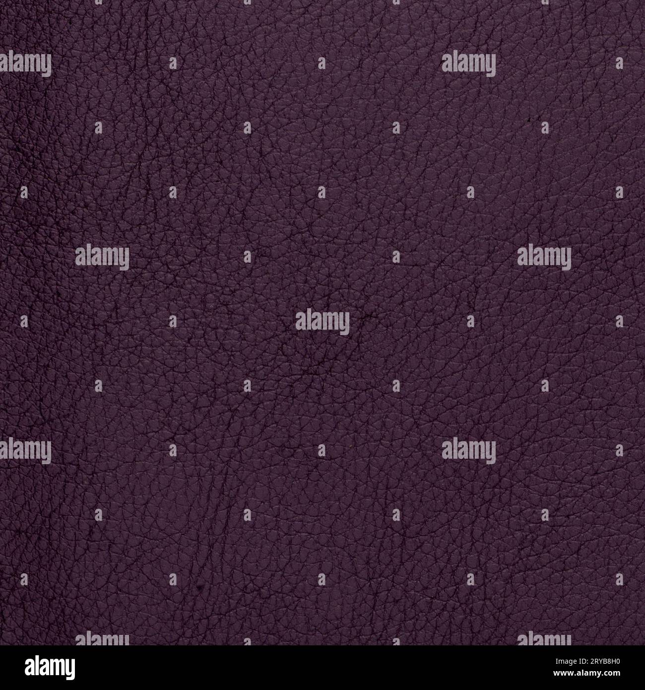 Violet leather texture Stock Photo - Alamy