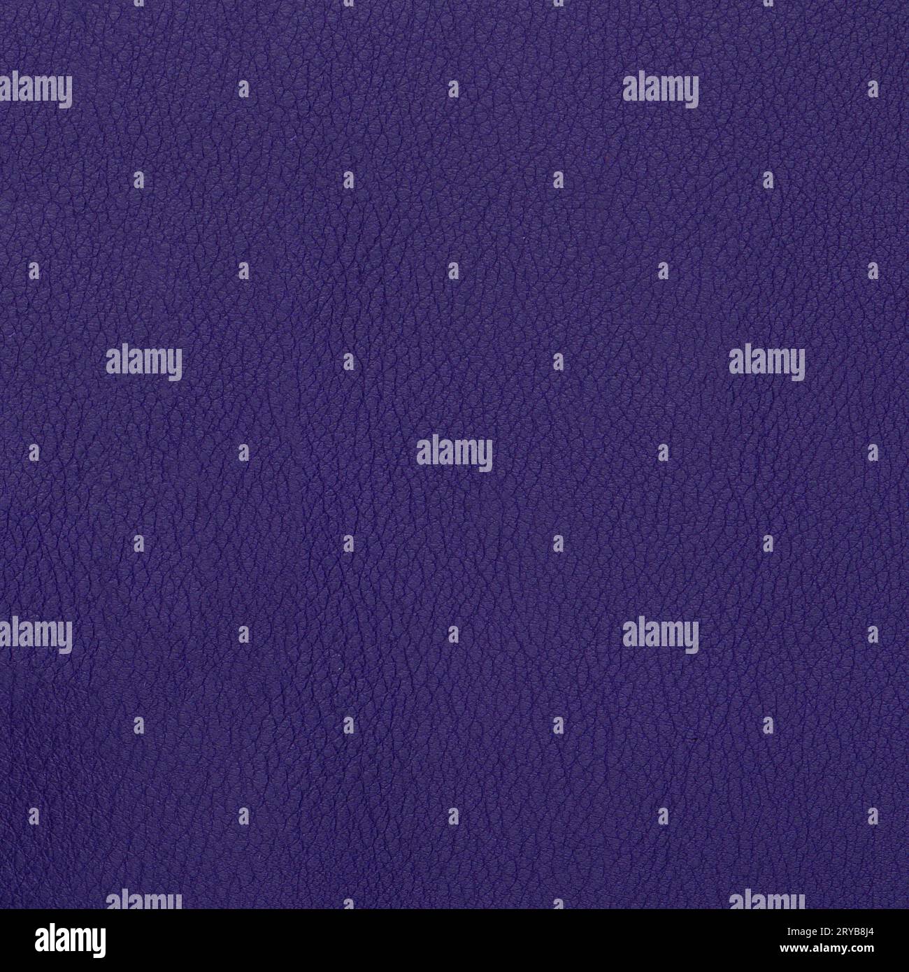 Violet leather texture Stock Photo - Alamy