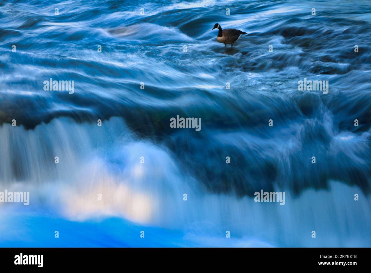 Calm nature spot hi-res stock photography and images - Alamy