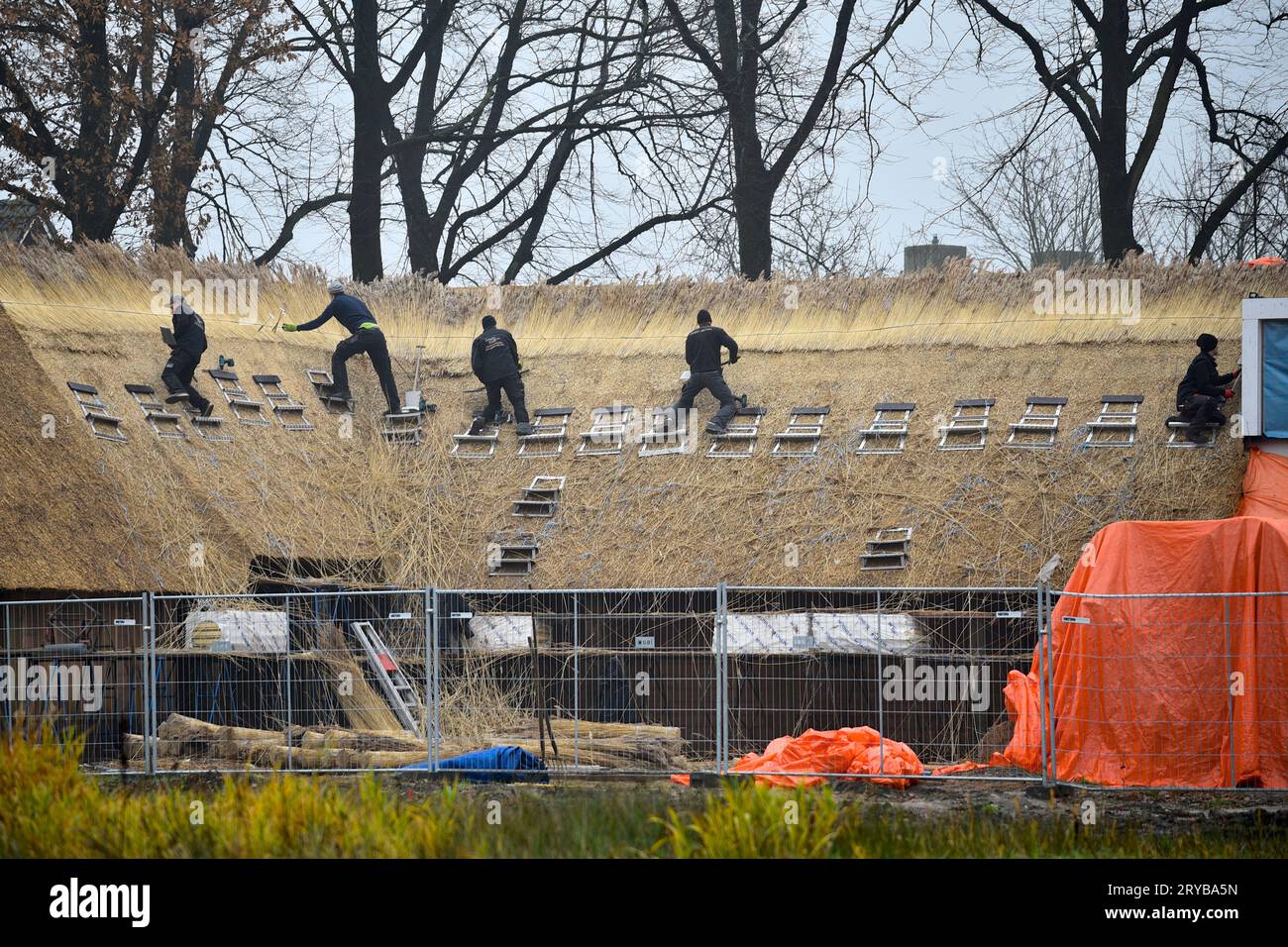 Thatch thatched thatching hi-res stock photography and images - Alamy