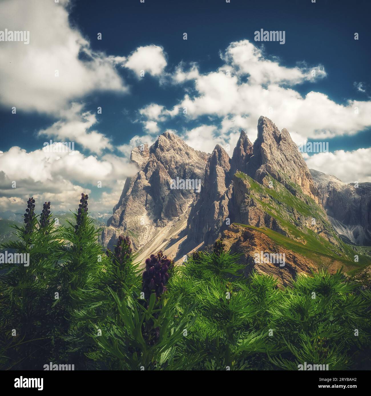 Alpine_scenery hi-res stock photography and images - Alamy