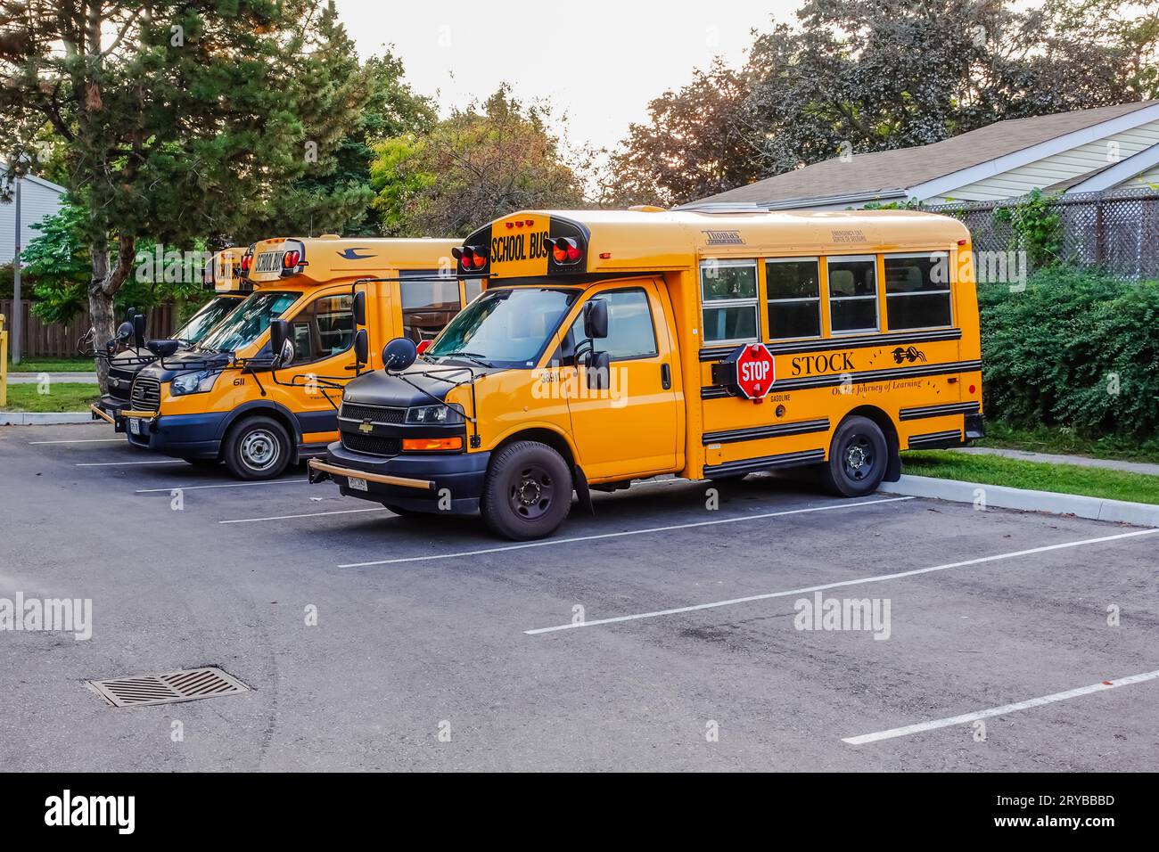Toronto yellow school buses in a parking lot Stock Photo - Alamy