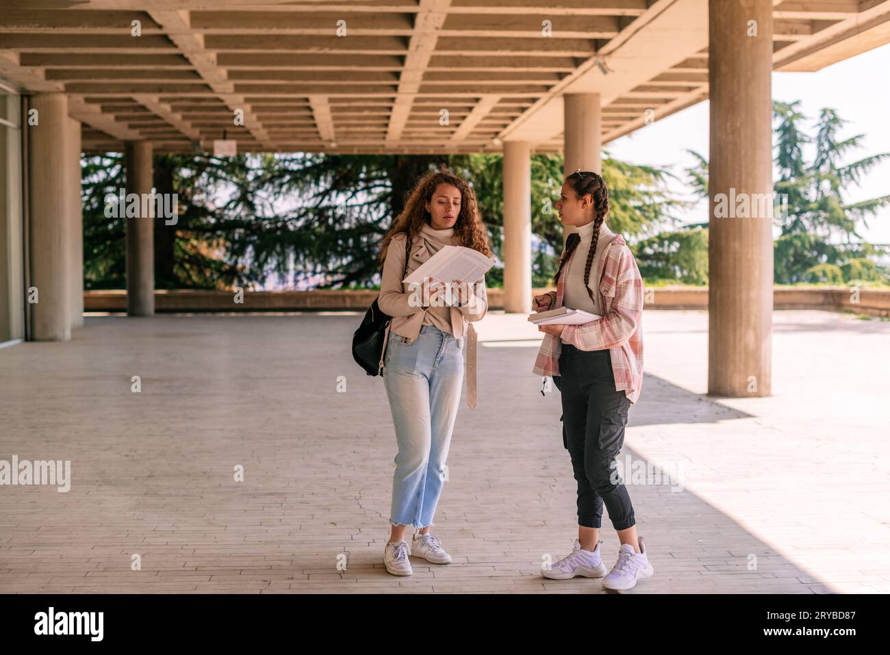 Beautiful girls reviewing lessons before exam at the school yard Stock ...