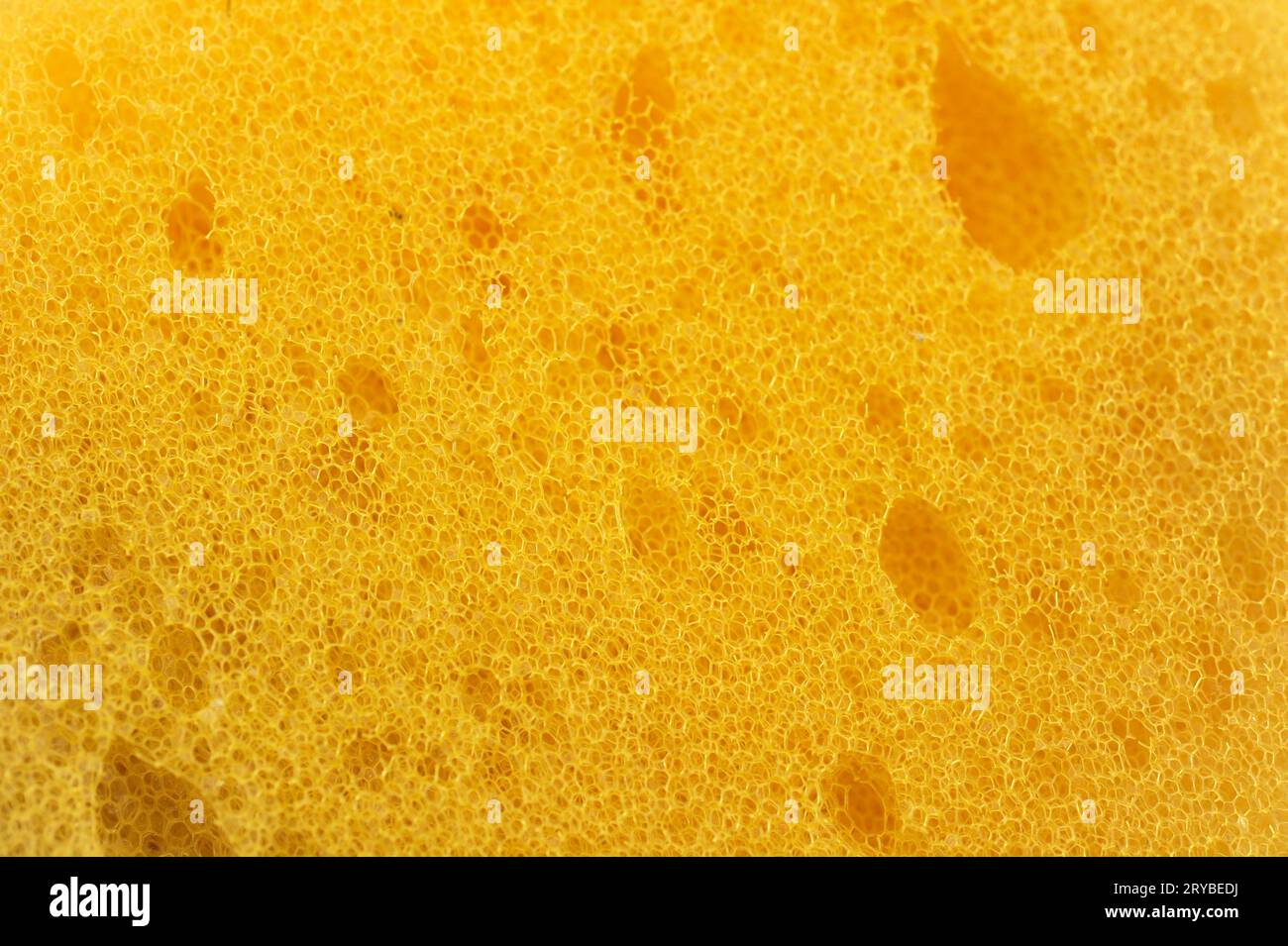 yellow sponge background macro Stock Photo - Alamy