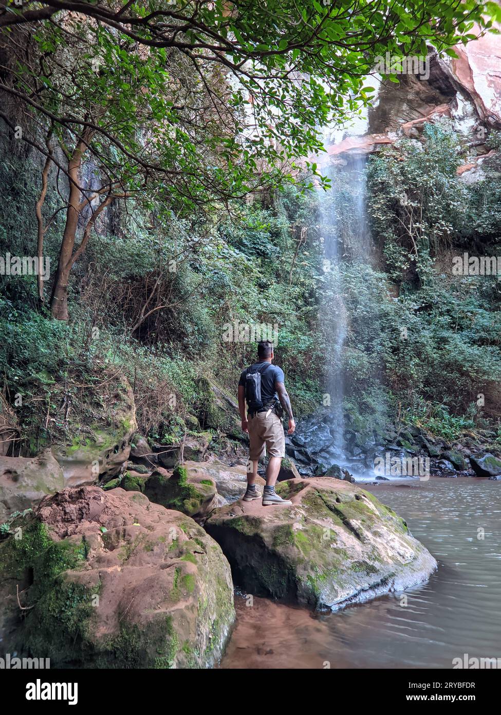 Man standing on a rock watching a waterfall Stock Photo - Alamy