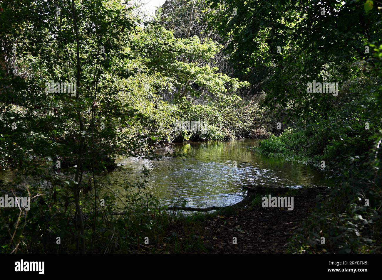 The River Cray, Foots Cray Meadows Nature Reserve, Sidcup, Kent, UK Stock Photo - Alamy