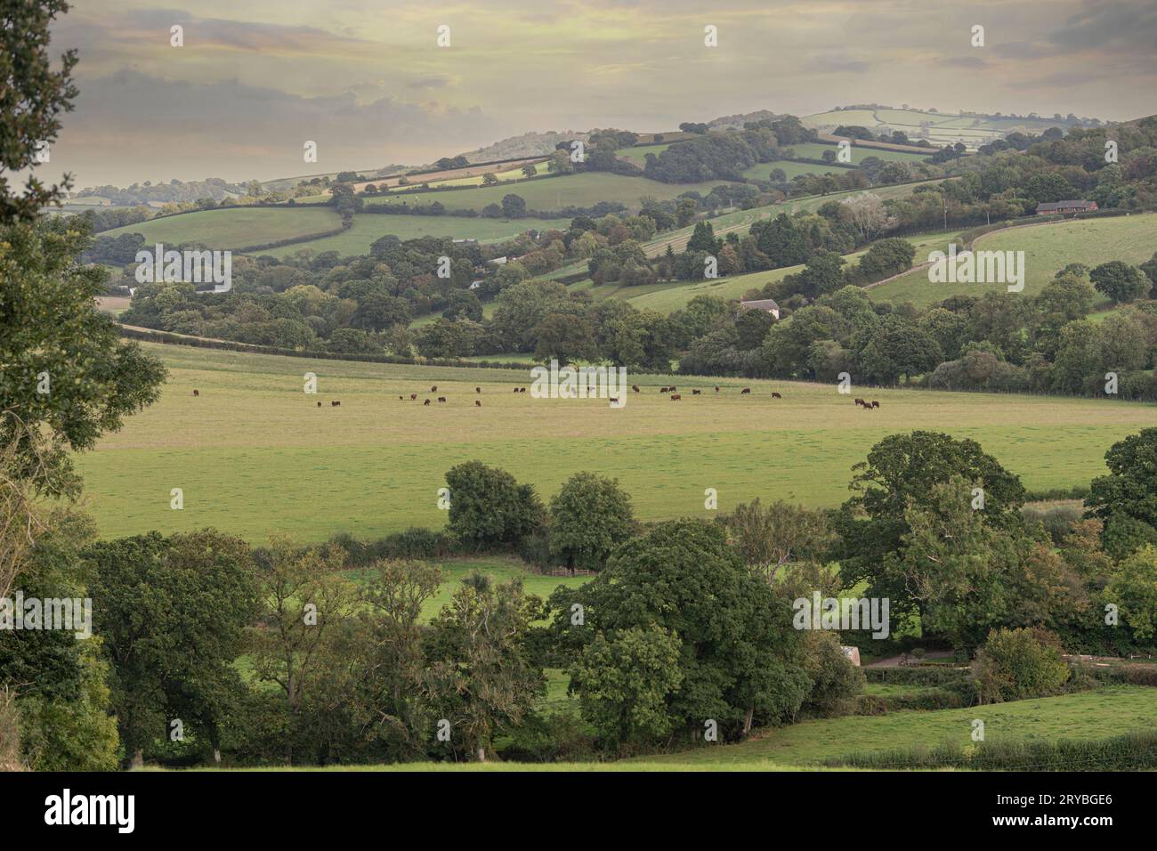 View english countryside in hi-res stock photography and images - Alamy