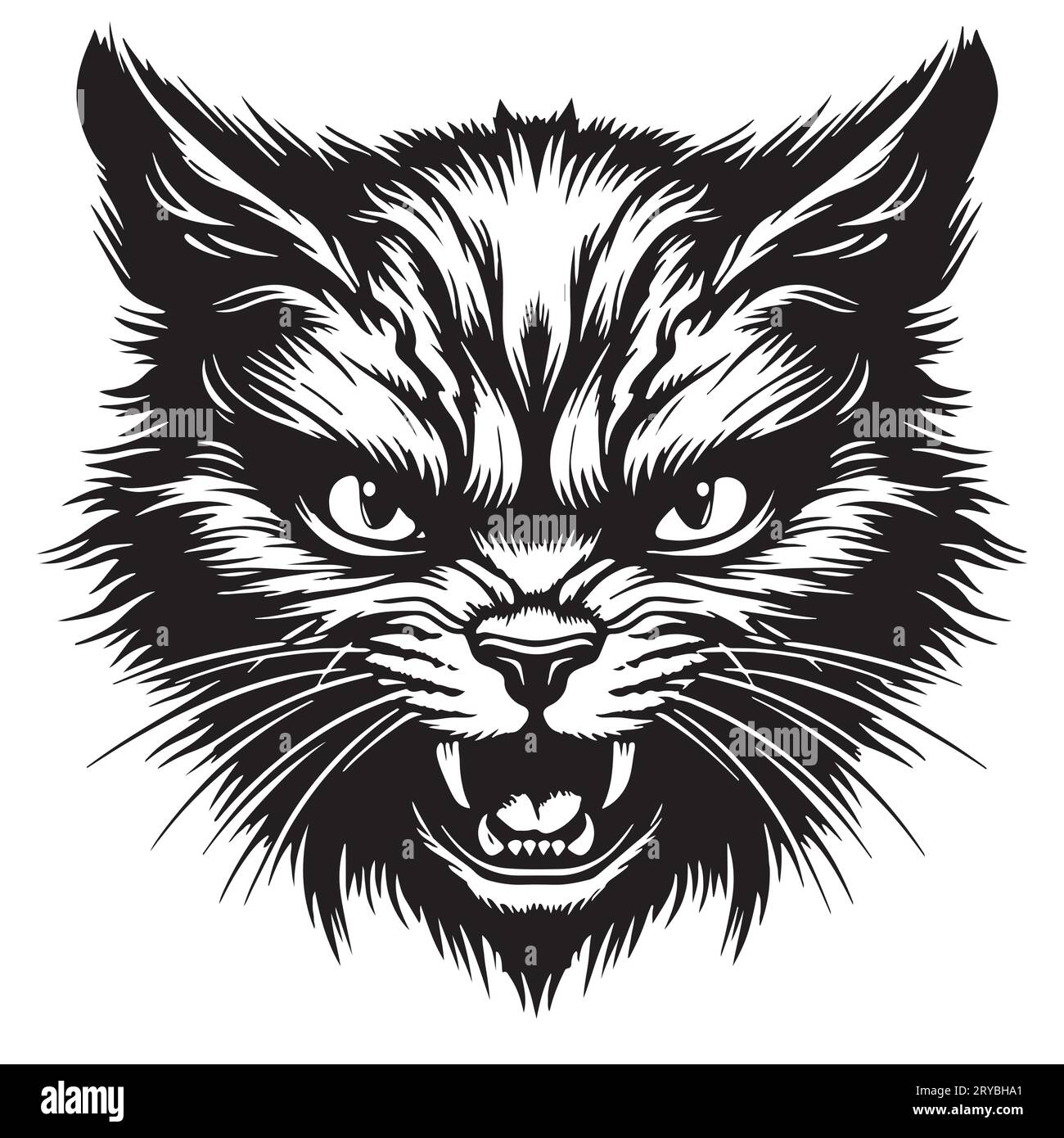 Angry Black Cat Drawing