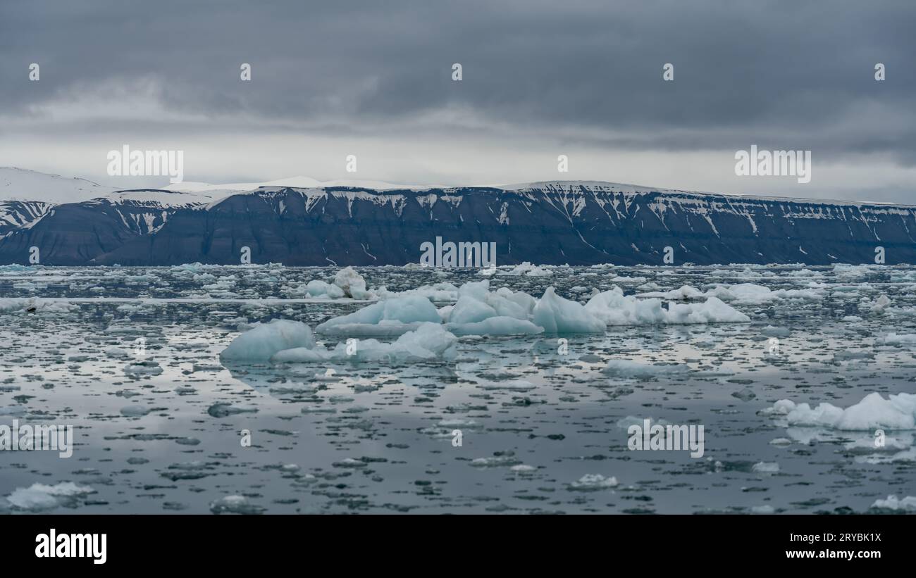 Ice blocks floating in an arctic fjord with mountains in the background ...