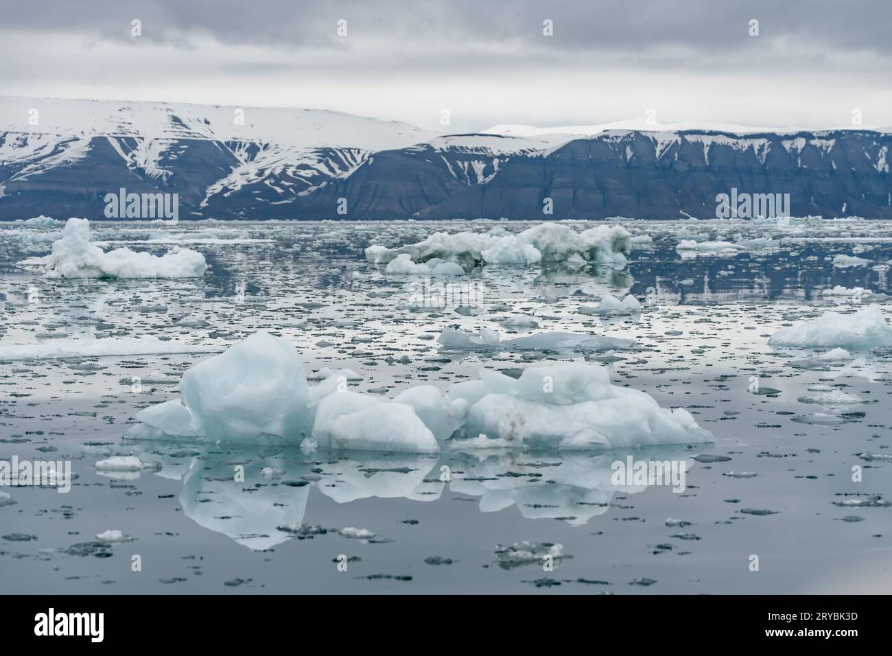 Ice blocks floating in an arctic fjord with mountains in the background ...
