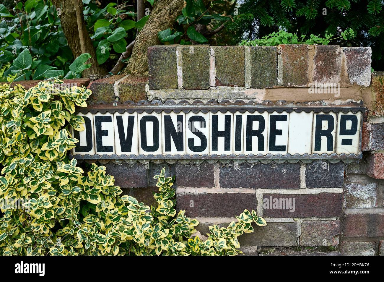 Devonshire Road sign on garden wall surrounded with greenery Stock ...