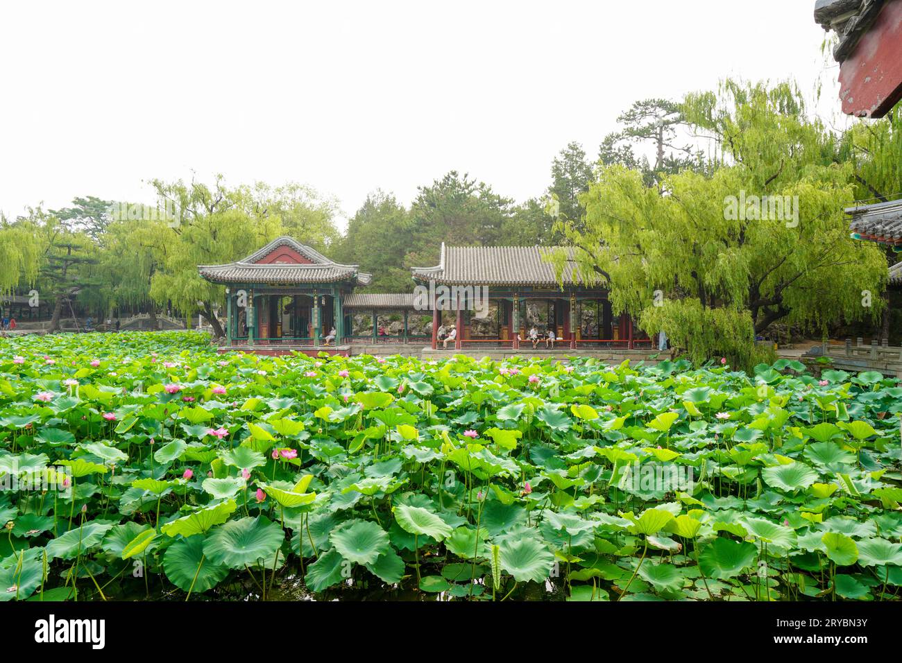 Beijing City, China - July 3, 2023: Summer Scenery of Summer Palace in ...