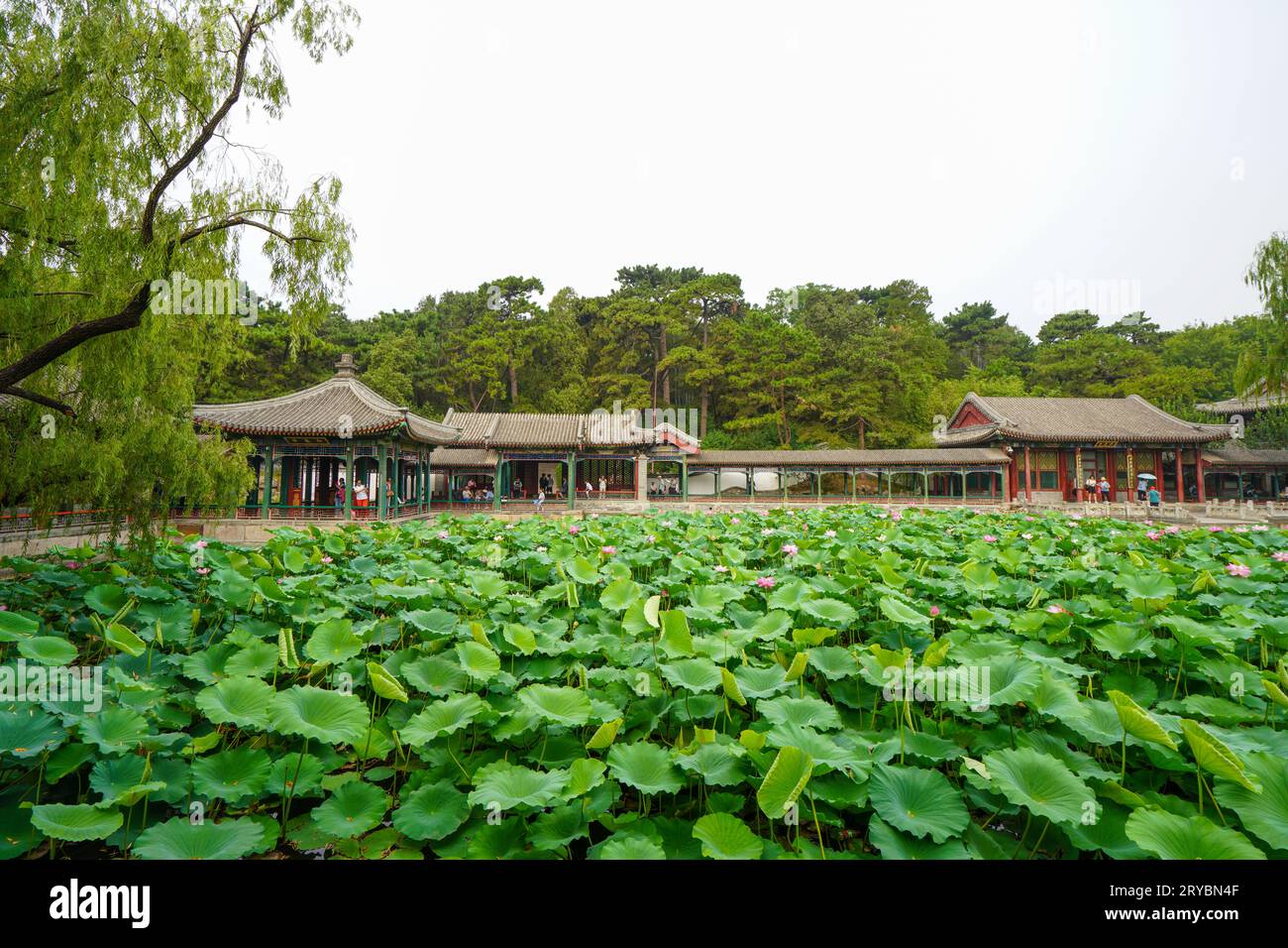 Beijing City, China - July 3, 2023: Summer Scenery of Summer Palace in ...