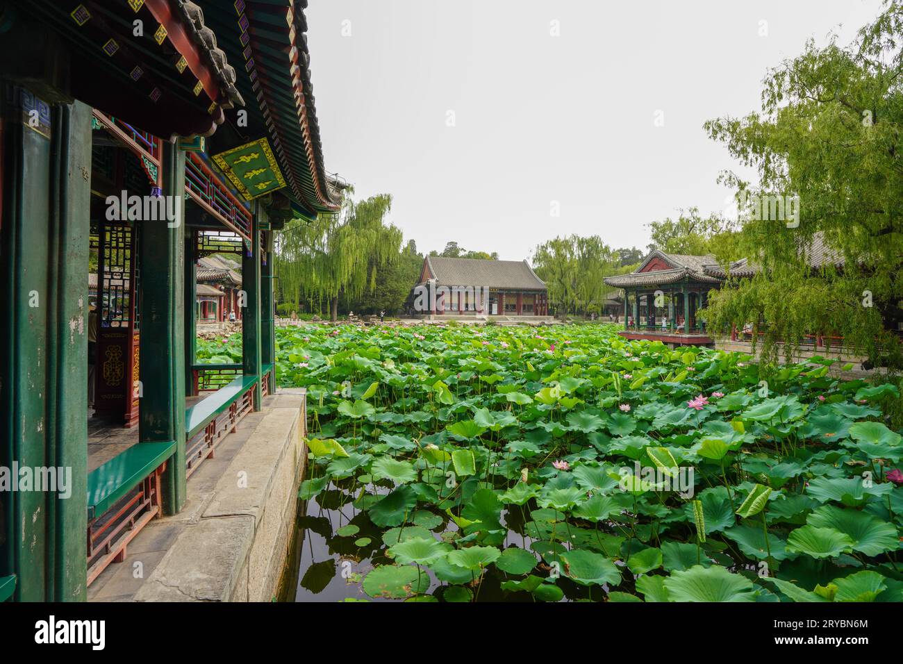 Beijing City, China - July 3, 2023: Summer Scenery of Summer Palace in ...