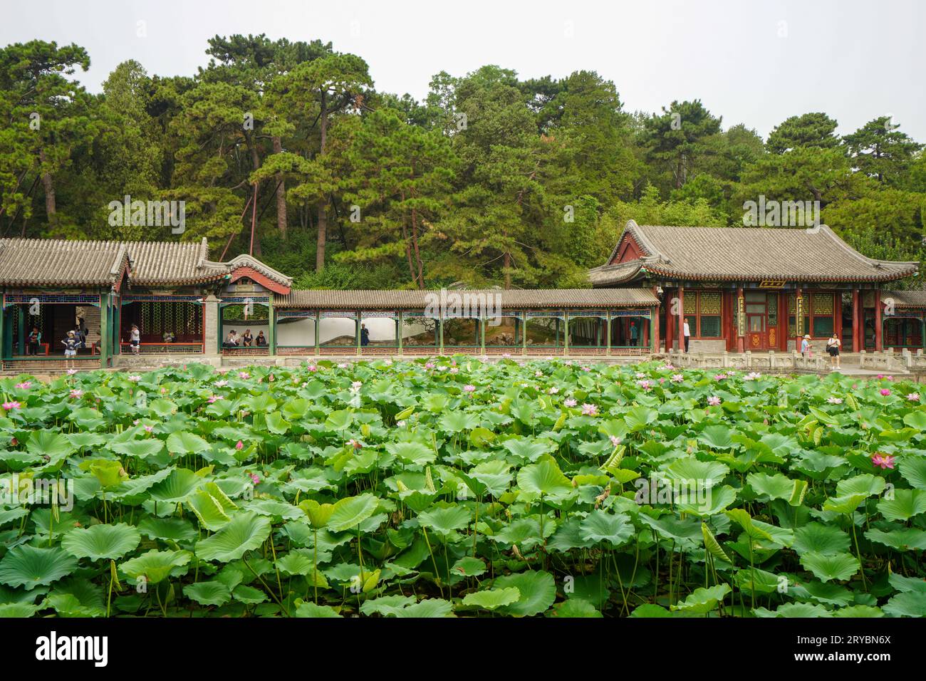 Beijing City, China - July 3, 2023: Summer Scenery of Summer Palace in ...