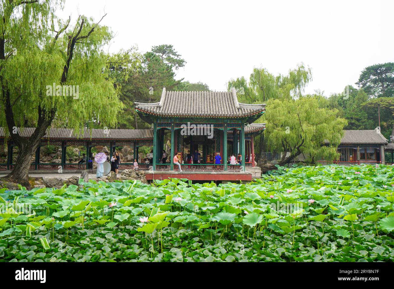 Beijing City, China - July 3, 2023: Summer Scenery of Summer Palace in ...