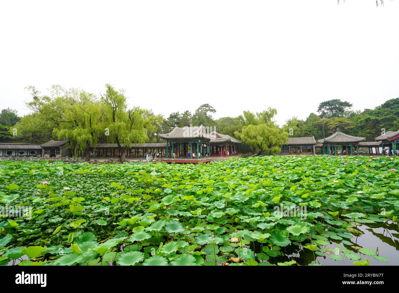 Beijing City, China - July 3, 2023: Summer Scenery of Summer Palace in ...