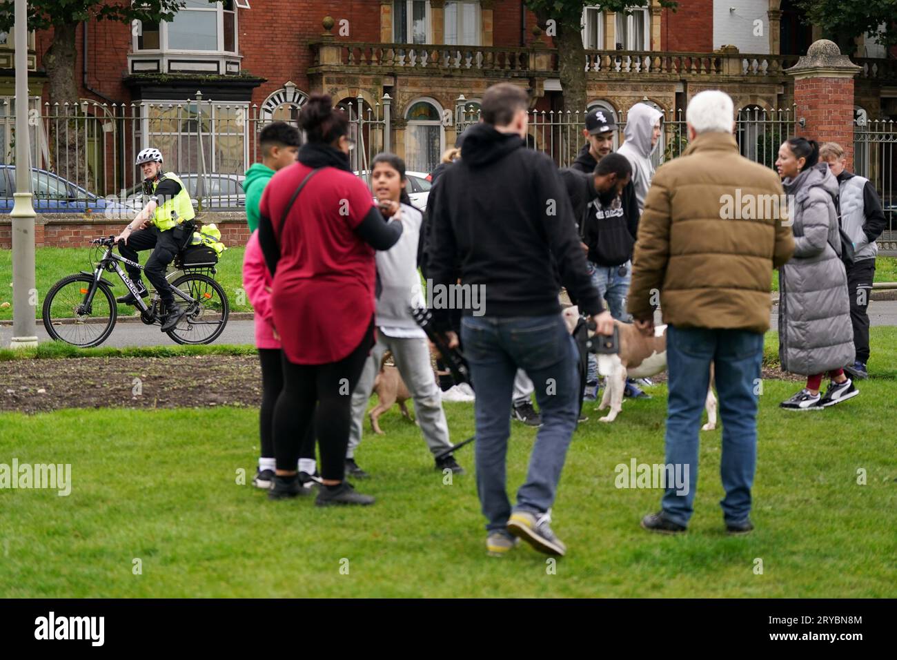 Xl bully hi-res stock photography and images - Alamy