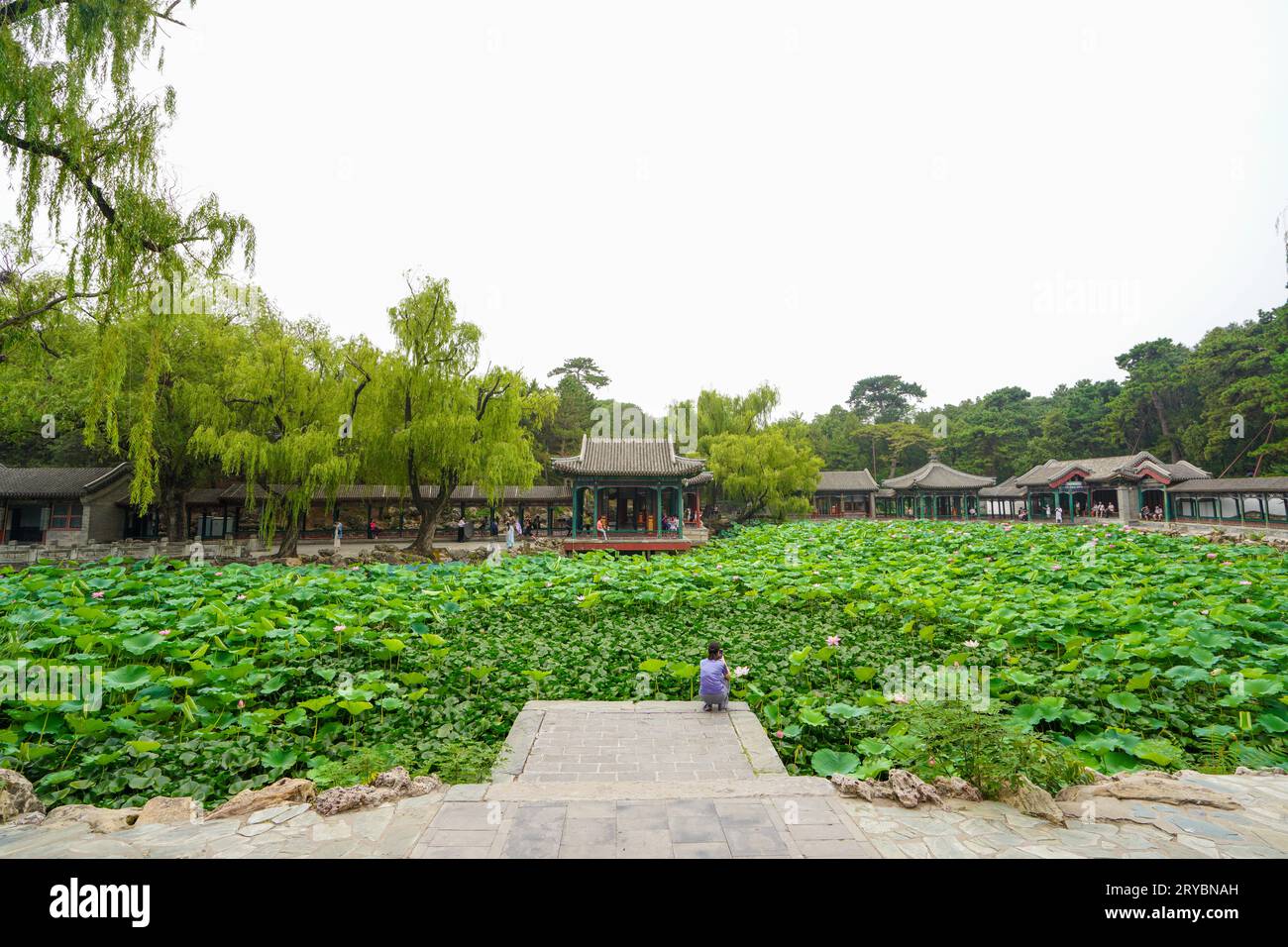 Beijing City, China - July 3, 2023: Summer Scenery of Summer Palace in ...