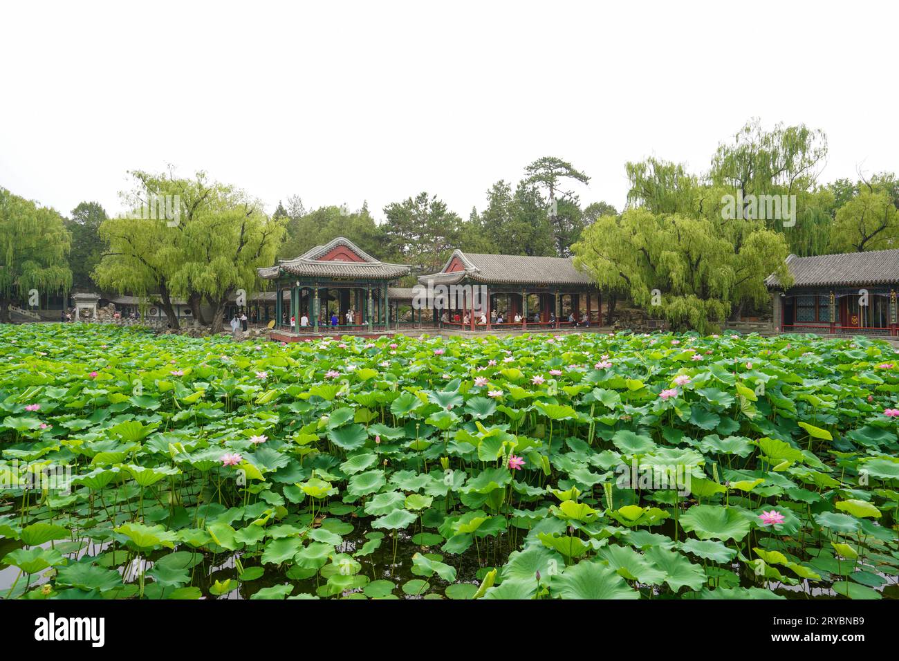 Beijing City, China - July 3, 2023: Summer Scenery of Summer Palace in ...
