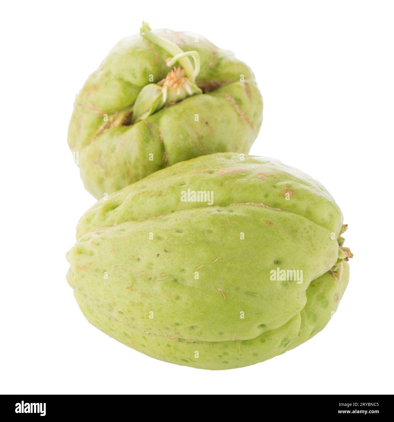 Chayote sechium edule two Cut Out Stock Images & Pictures - Alamy