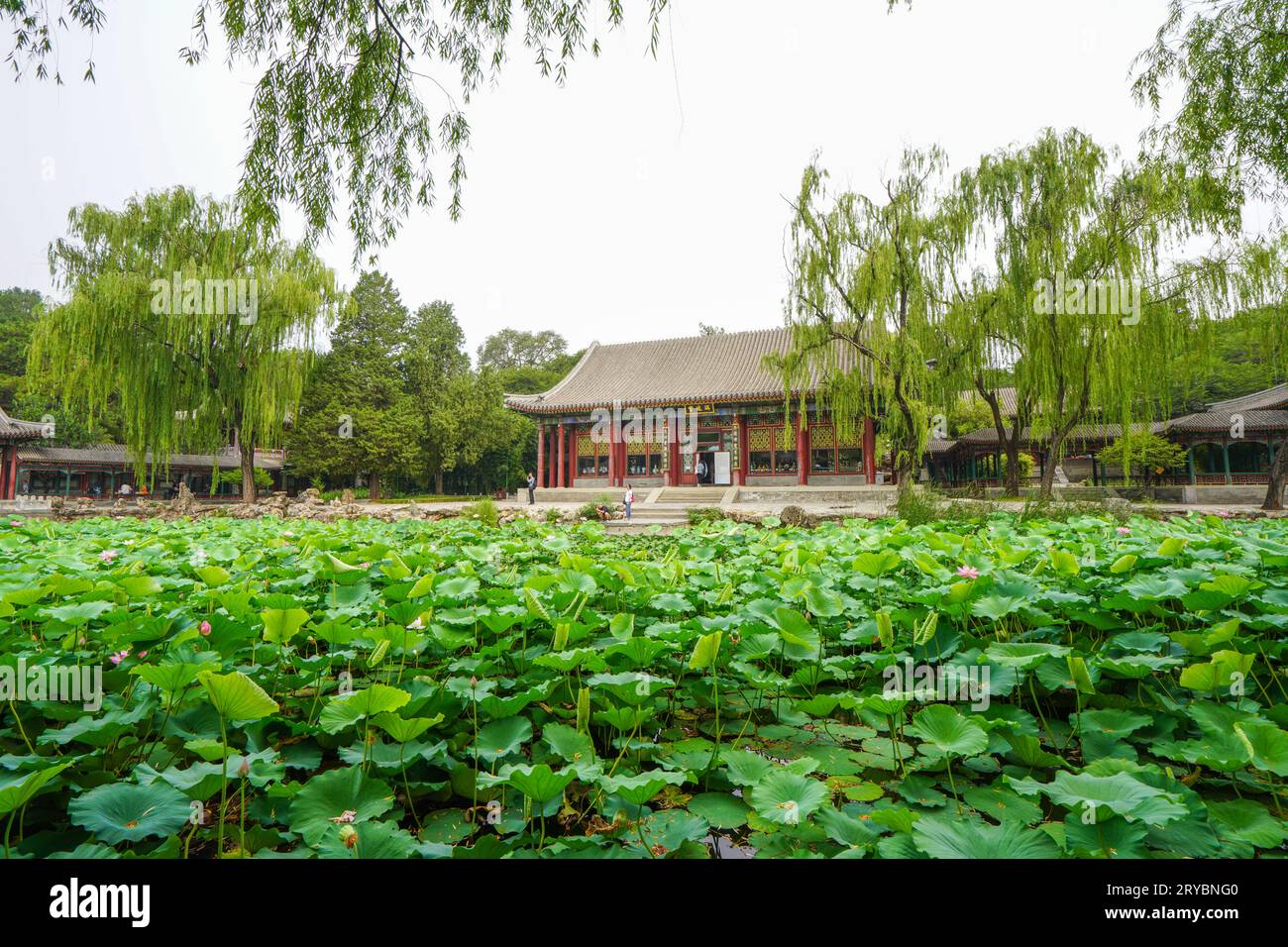 Beijing City, China - July 3, 2023: Summer Scenery of Summer Palace in ...