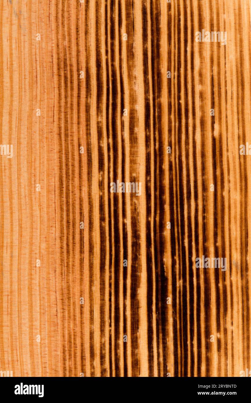 Closeup natural burned pine hi-res stock photography and images - Alamy
