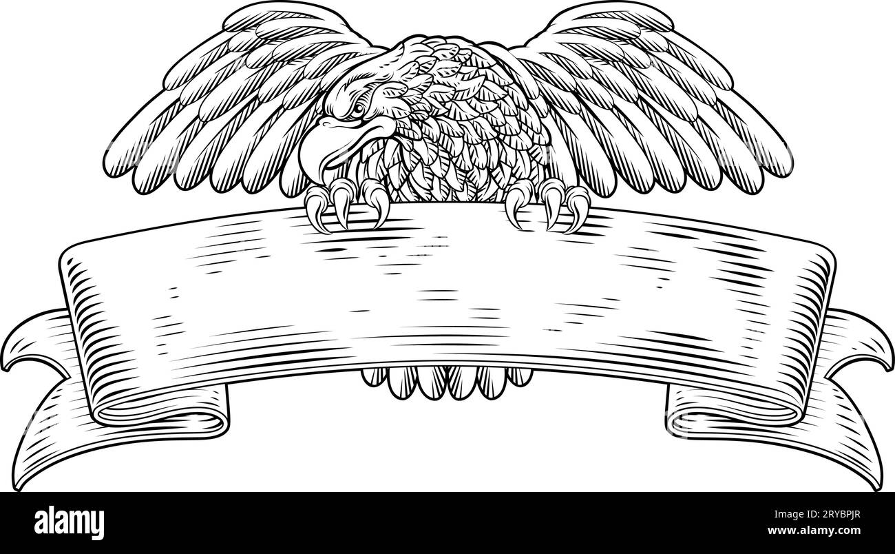 Eagle Scroll Symbol Crest Banner Parchment Design Stock Vector Image ...
