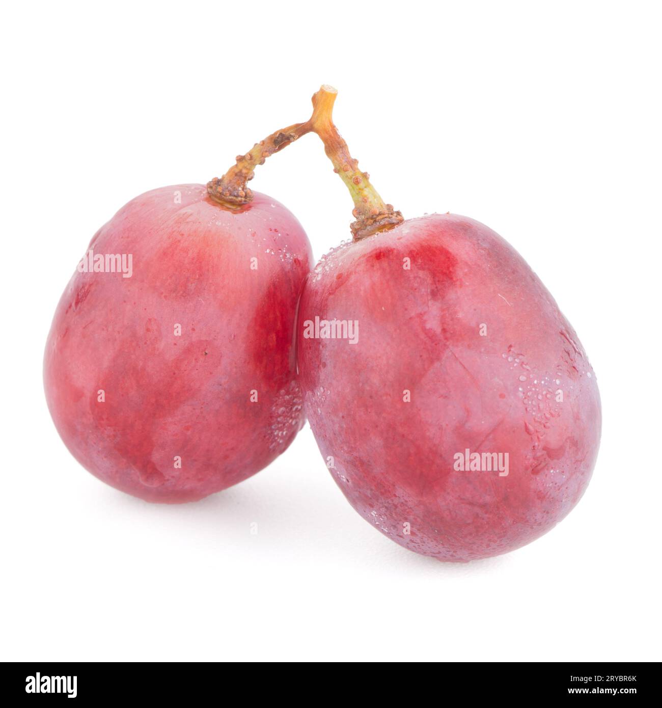 How to grow grape Cut Out Stock Images & Pictures - Alamy