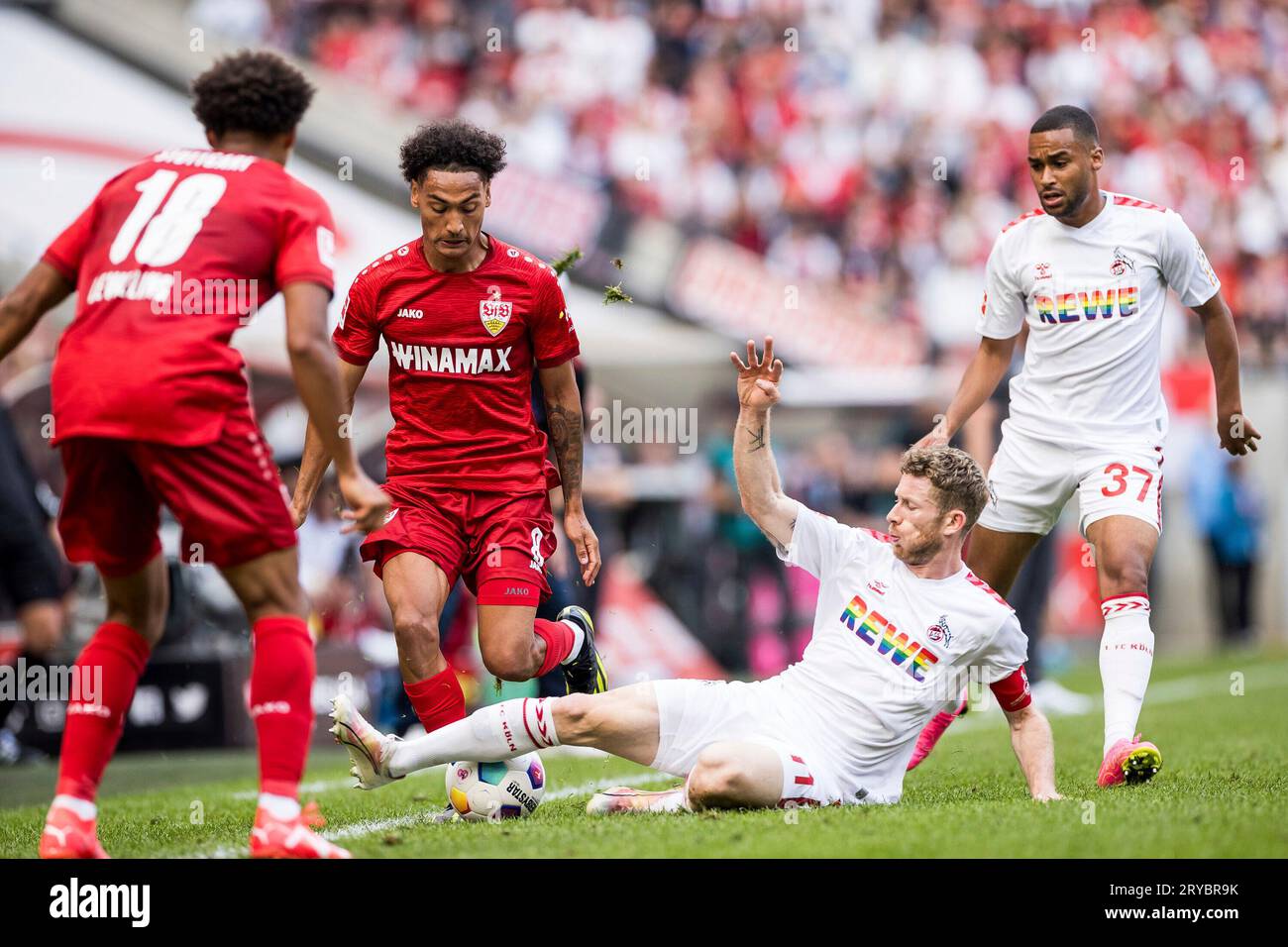 Koeln, Deutschland. 30th Sep, 2023. Enzo Millot (VfB Stuttgart, #8), Florian Kainz (1. FC Koeln ...