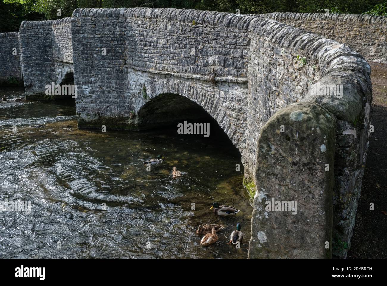The Sheepwash Bridge over the River Wye at Ashford-in-the-Water, Peak ...